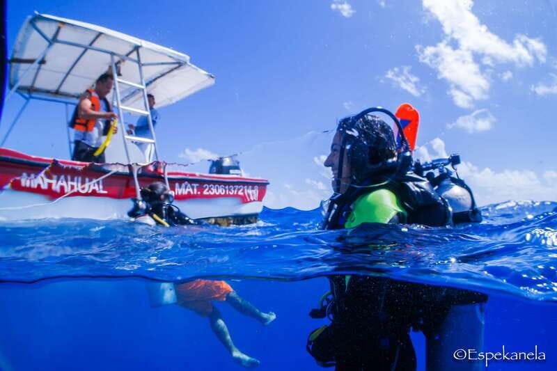 Costa Maya: Discover Scuba Diving Reef Experience - The Value Proposition