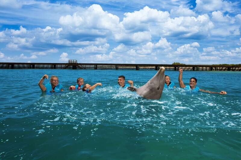 Costa Mujeres: Swim with Dolphins - Final Thoughts: Is It Worth It?