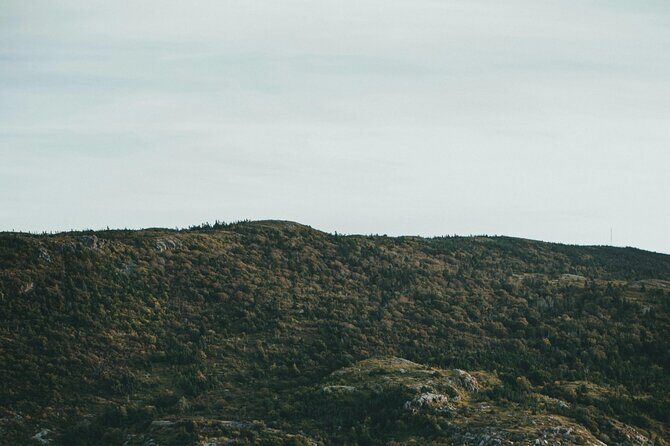 Costal Lights A Newfoundland Photography Adventure - The Itinerary: What to Expect Day-by-Day