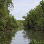 Covered Boat Swamp Tour with Transportation from New Orleans - The Itinerary: What to Expect
