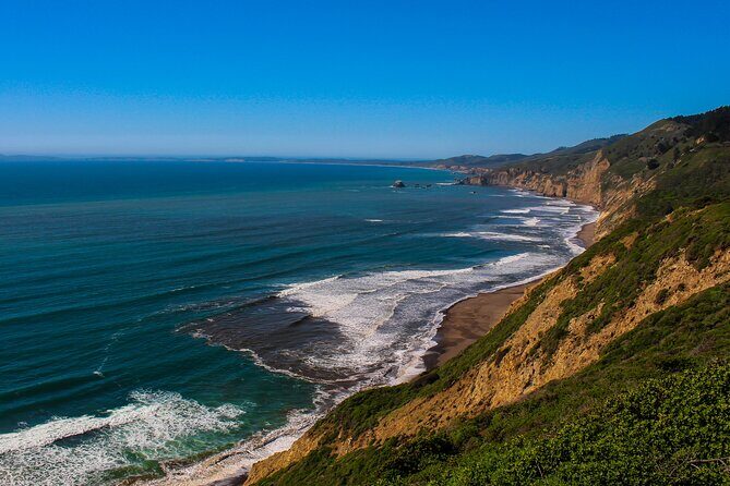 Cow Heaven: A Self-Guided Driving Tour from Point Reyes Seashore to Tomales - What to Expect at Each Stop