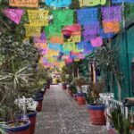 Coyoacan, history and life in a magical neighborhood - Why Choose This Tour?