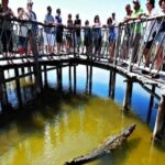 Cozumel 4x4 Adventure Punta Sur and Virgin Beach All Inclusive - An In-Depth Look at the Experience