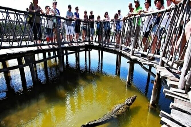 Cozumel 4x4 Adventure Punta Sur and Virgin Beach All Inclusive - An In-Depth Look at the Experience