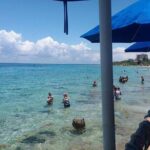 Cozumel Beach + Snorkeling Time - Snorkeling: What Makes It Special