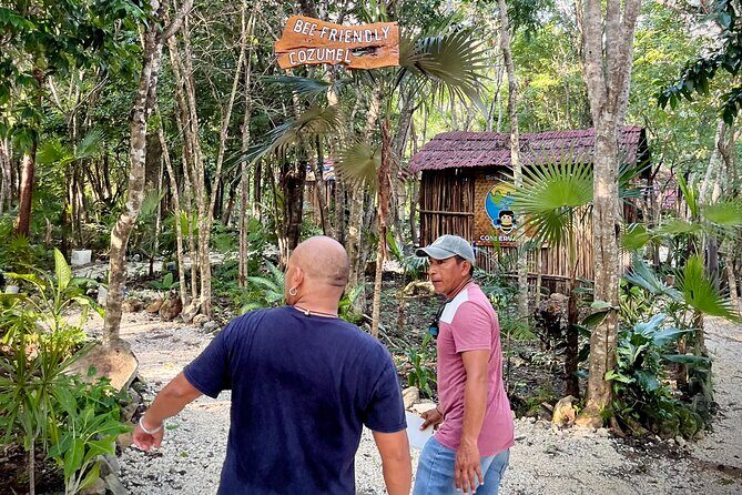 Cozumel: Bee Farm + Honey & Chocolate Tasting + Sightseeing - Authentic Reviews and Insights