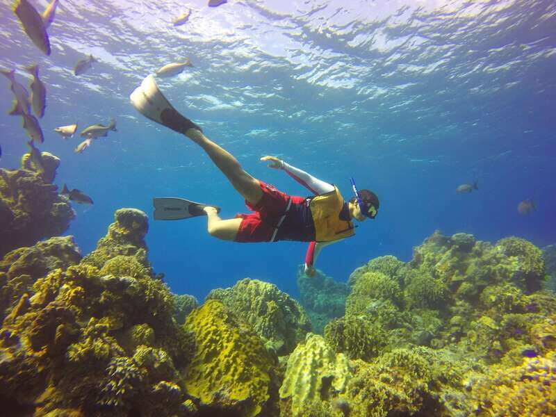 Cozumel: Catamaran, El Cielo Bay & Palancar Reef with Lunch - The Scenic Catamaran Ride
