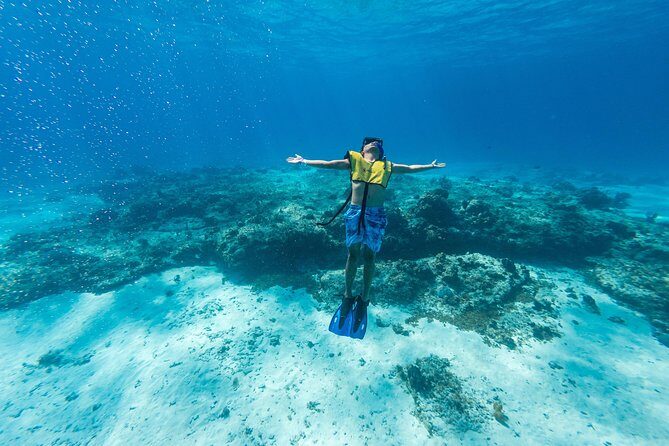 Cozumel Catamaran Snorkeling Tour & lunch® - Who Will Love This Tour?