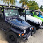 Cozumel: Classic Jeep or Buggy Island Tour to Punta Sur - The Practicalities and Value