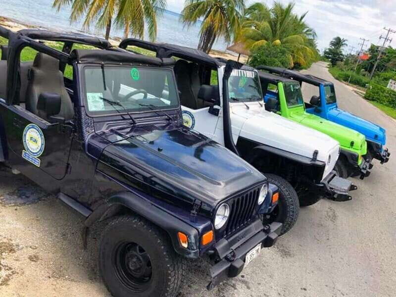 Cozumel: Classic Jeep or Buggy Island Tour to Punta Sur - The Practicalities and Value