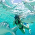 Cozumel: Day in Punta Sur Eco Park and Del Cielo Beach with Snorkeling - Who Will Love This Tour?