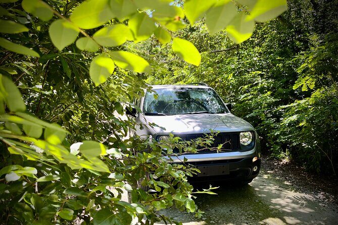 Cozumel: Discover Hidden Gems w/ Private guide - Deep Dive into the Stops and Experiences