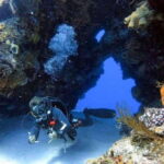 Cozumel: Discover Scuba Diving - What Makes This Tour Special?