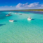 Cozumel: El Cielo & Palancar Snorkel with Open Bar & Ceviche - The Value of the Tour: What You’re Getting for $68