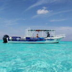 Cozumel El Cielo Sandbar and Reef Snorkeling Tour - Why Price and Value Matter