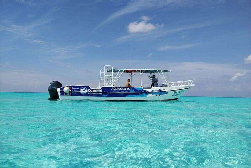 Cozumel El Cielo Sandbar and Reef Snorkeling Tour - Why Price and Value Matter