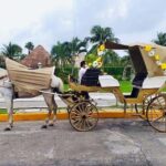 Cozumel: Electric Carriage Tour - The Itinerary: What to Expect