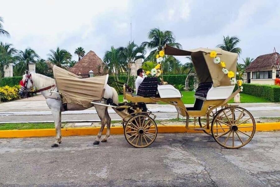 Cozumel: Electric Carriage Tour - The Itinerary: What to Expect
