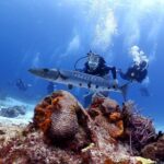 Cozumel Express 2-Tank Dives from Playa del Carmen/ Only for Certified Divers - What’s Included and What’s Not