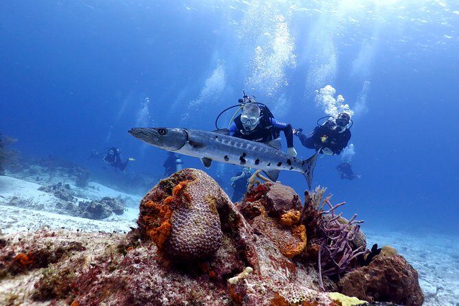 Cozumel Express 2-Tank Dives from Playa del Carmen/ Only for Certified Divers - What’s Included and What’s Not