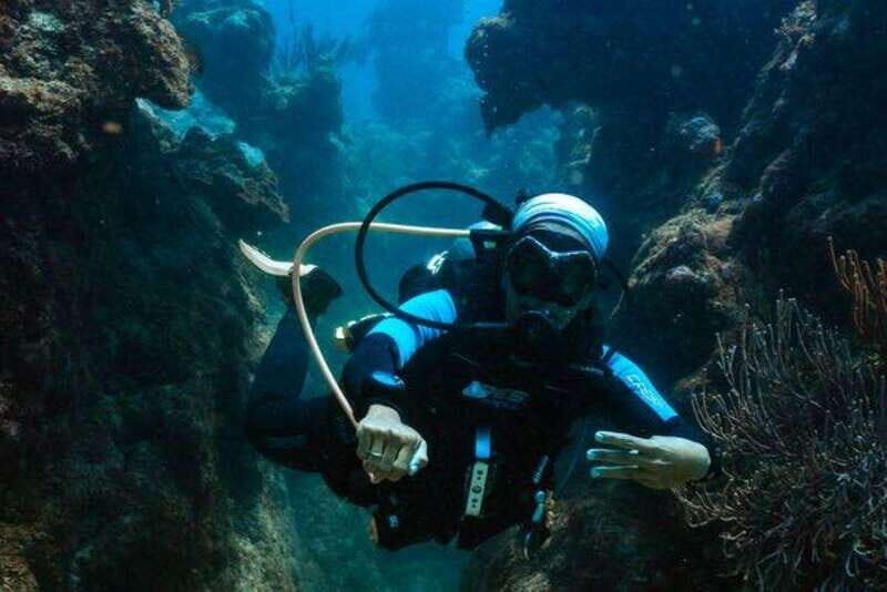 Cozumel: Fun Dive Adventure for Certificates - The Land and Sea Journey