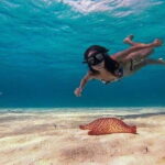 Cozumel: Glass-bottom Boat Snorkeling Adventure - Exploring Colombia Reef and Palancar Reef