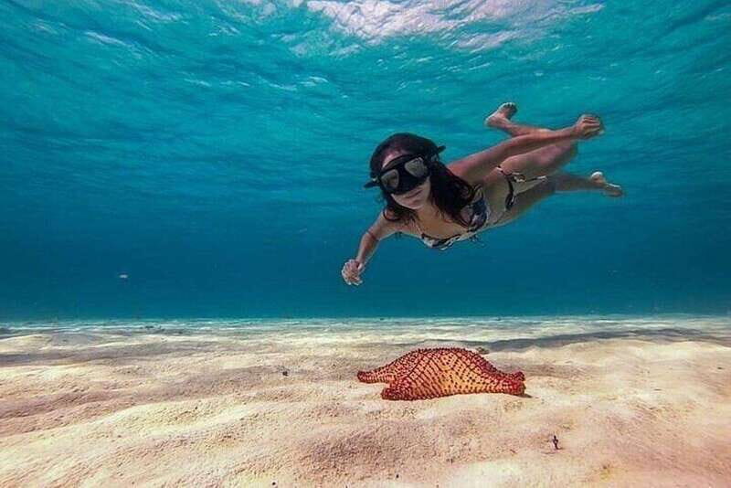 Cozumel: Glass-bottom Boat Snorkeling Adventure - Exploring Colombia Reef and Palancar Reef