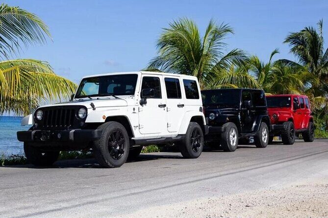 Cozumel Jeep 4x4 Tour South Tip with Lunch and Snorkel - The Sum Up