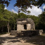 Cozumel: Mayan Ruins Guided Tour with Snorkeling & Lunch - Authentic Perspectives from Travelers