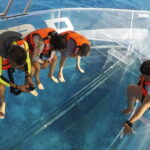 Cozumel: Off-road Adventure to Punta Sur and Clear Boat Ride - What You Can Expect from This Cozumel Adventure