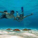 Cozumel: Palancar, Columbia and Cielo Reefs Snorkeling Tour - The Pitfalls and Considerations