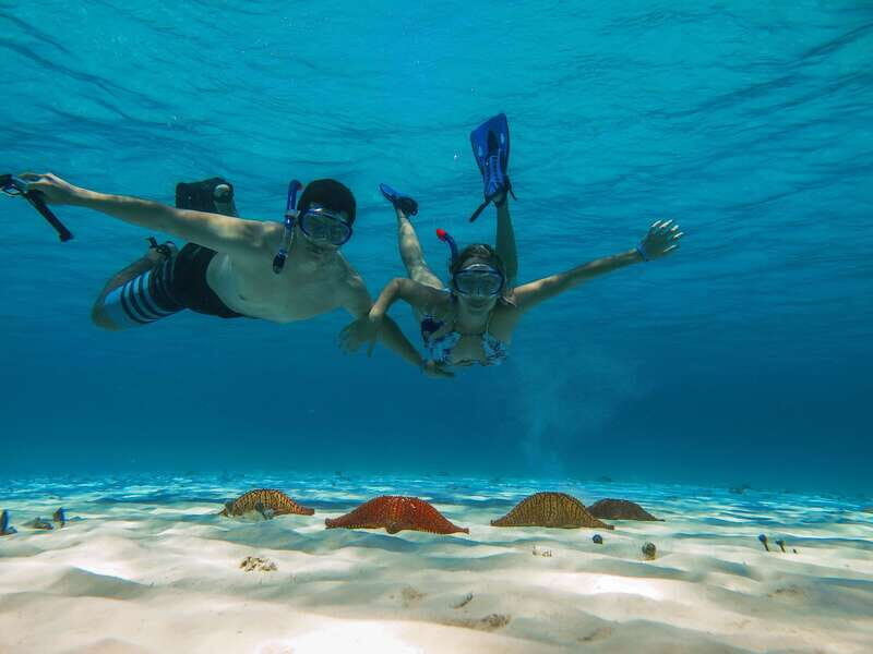 Cozumel: Palancar, Columbia and Cielo Reefs Snorkeling Tour - The Pitfalls and Considerations