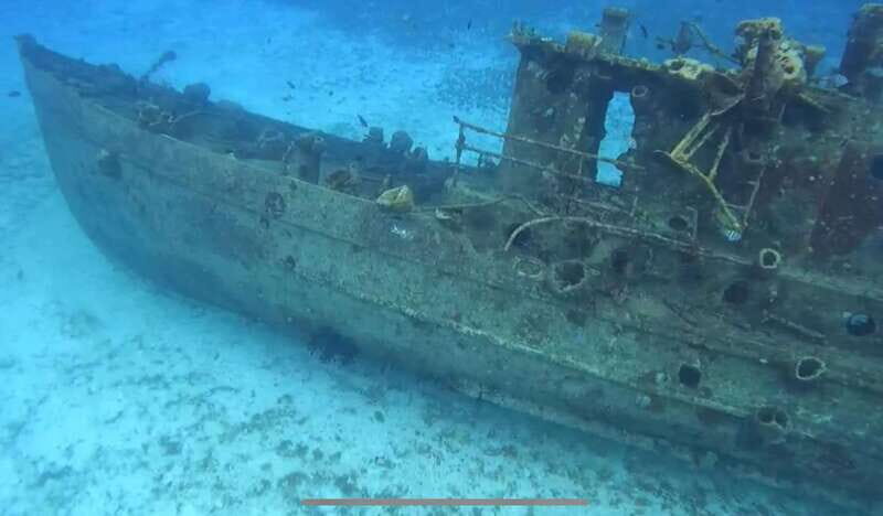 Cozumel, Passion Island: 4-Hour Private Tour - Itinerary Breakdown: What to Expect