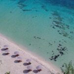 Cozumel Playa Palancar VIP All Inclusive Day Pass - Who Will Love This Experience?