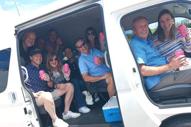 Cozumel Private Airport Transfer - Who Will Love This Service?