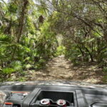 Cozumel: Private All Terrain Buggy Adventure at Virgin Beach - Who Will Love This Tour?