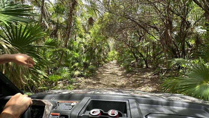 Cozumel: Private All Terrain Buggy Adventure at Virgin Beach - Who Will Love This Tour?