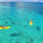 Cozumel Private Beach Pass: All Inclusive Beach Day - What to Expect at Playa Uvas