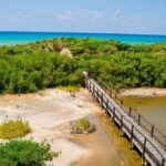 Cozumel: Private Buggy Tour to Punta Sur Park All Inclusive - Introduction: A Fun and Authentic Way to Experience Cozumel