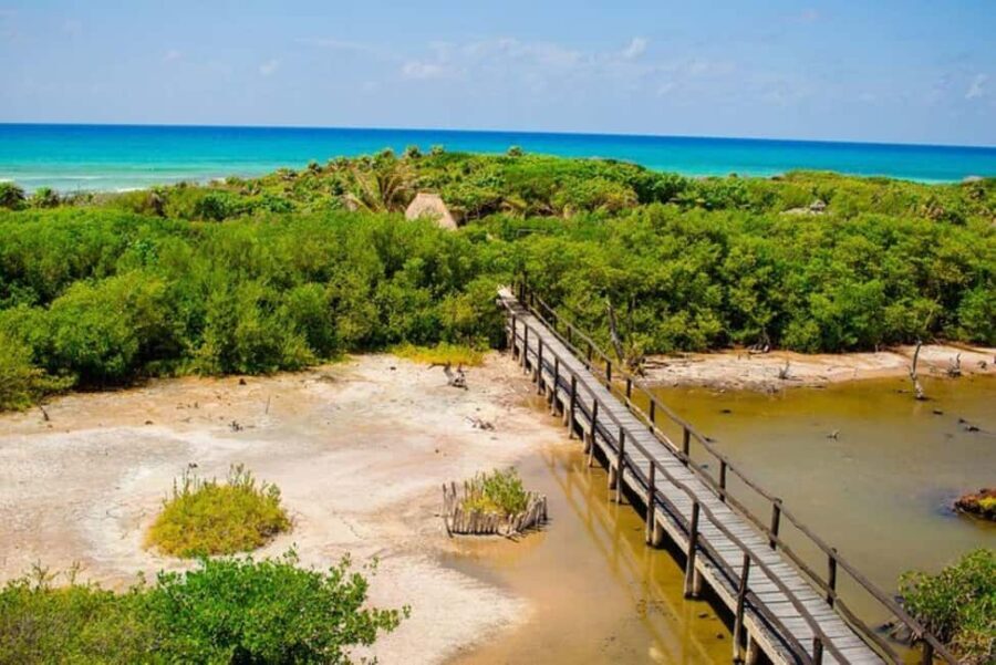 Cozumel: Private Buggy Tour to Punta Sur Park All Inclusive - Introduction: A Fun and Authentic Way to Experience Cozumel