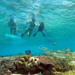 Cozumel: Private Charter Boat and Snorkel Day Trip - The Value and Practicalities