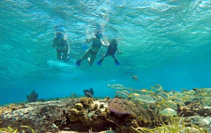 Cozumel: Private Charter Boat and Snorkel Day Trip - The Value and Practicalities
