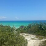 Cozumel: Private Jeep Tour, Mayan Ruins, Snorkeling & Lunch - Value and Practicality