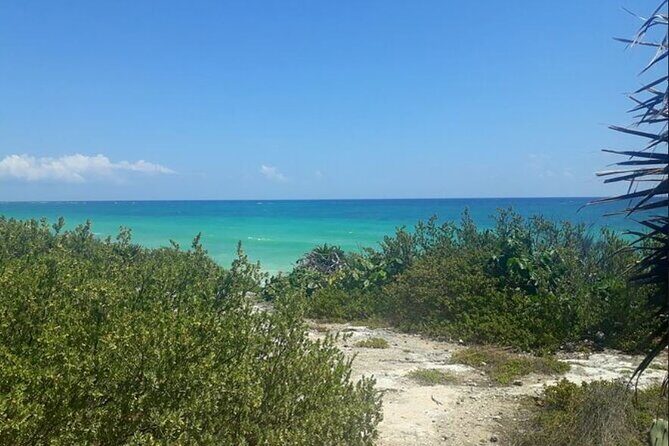 Cozumel: Private Jeep Tour, Mayan Ruins, Snorkeling & Lunch - Value and Practicality
