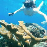 Cozumel: Private Snorkel Tour El Cielo + 3 Reefs Food Drinks - Why Choose This Tour?