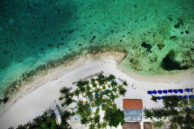 Cozumel: Shore Excursions for Royal Caribbean Cruise Passengers - What Travelers Say