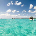 Cozumel: Snorkel Tour to El Cielo, Palancar, and Colombia - The Value of This Tour