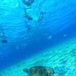 Cozumel: snorkeling on reefs + visit to "El Cielo" - What’s Included and What You Should Know