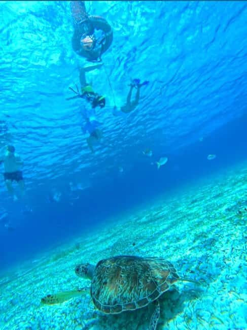 Cozumel: snorkeling on reefs + visit to "El Cielo" - What’s Included and What You Should Know