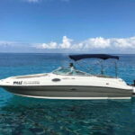 Cozumel: Snorkeling Tour at El Cielo Beach - The Itinerary in Detail